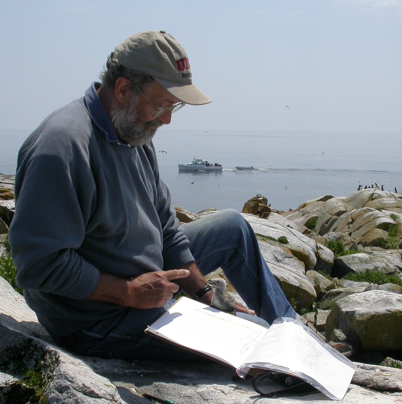 Observing Seabirds: Understanding Oceans | Farallon Institute